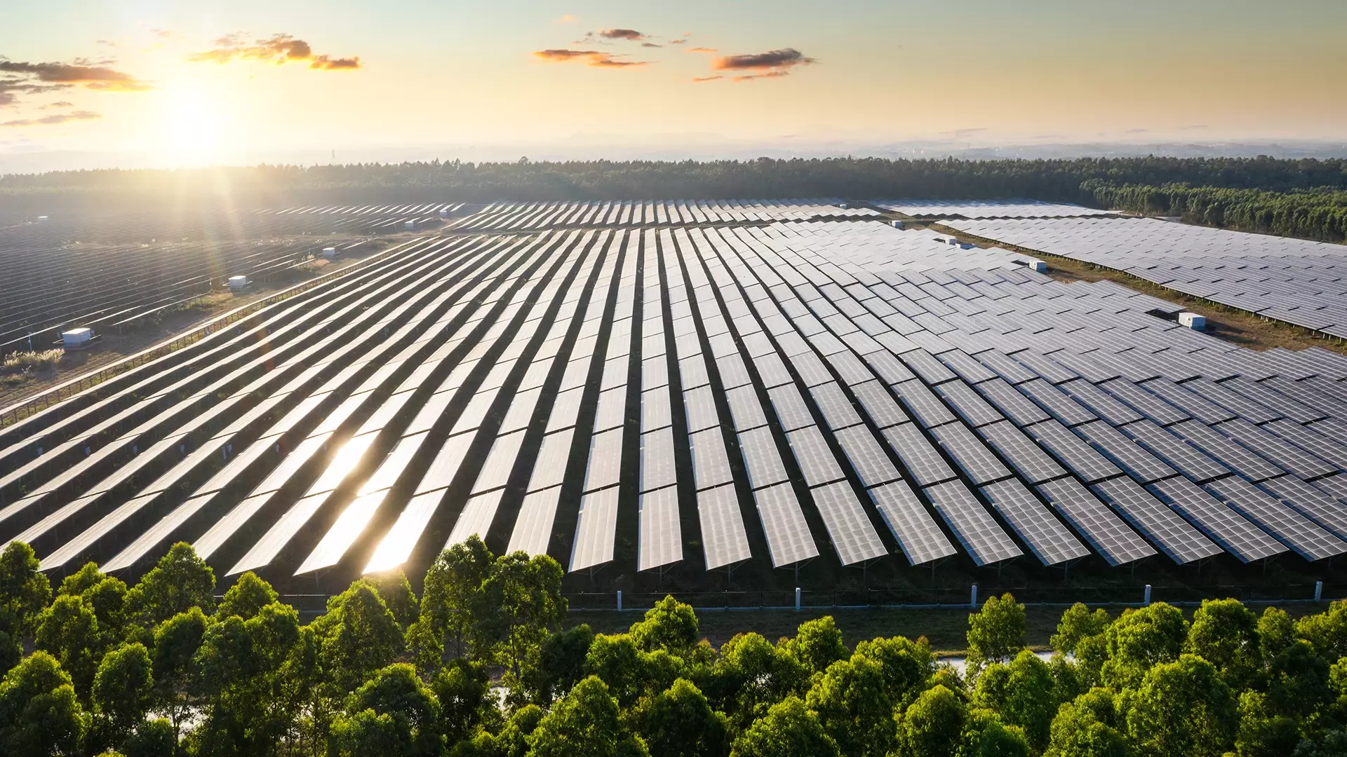 Pixida Energy | Innovative Solutions for a Sustainable Future